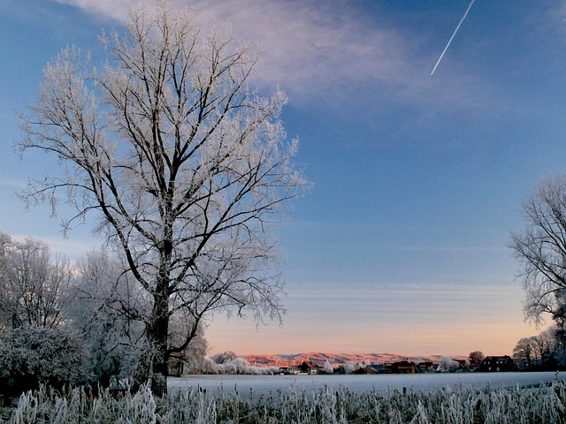 Winter Christmas Cold - Free photo on Pixabay - Pixabay