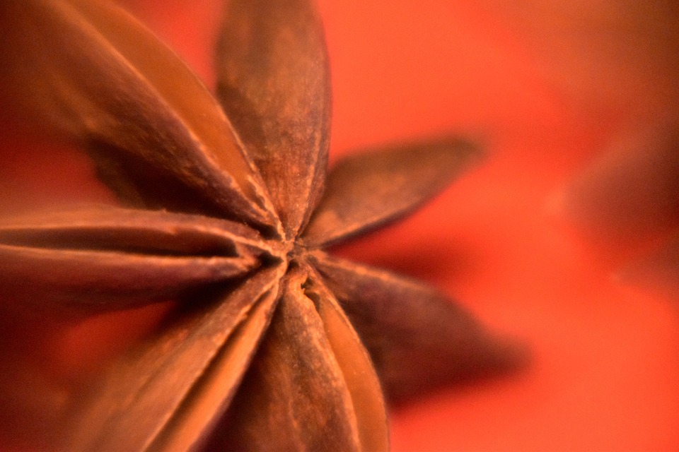 Anise Star Seasoning - Free photo on Pixabay - Pixabay