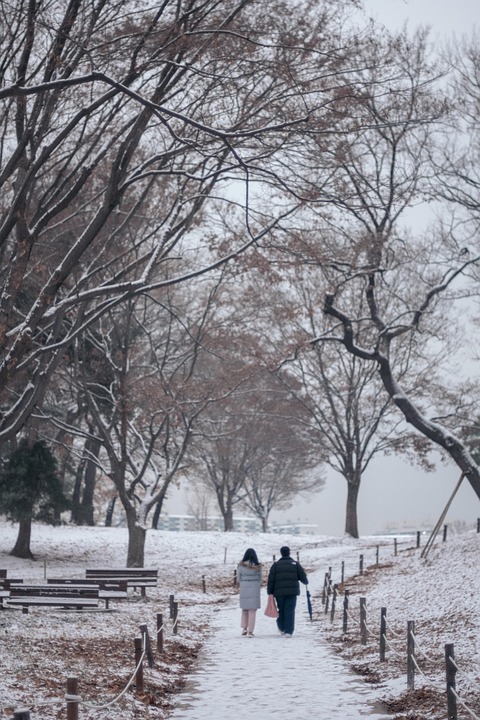 Snow Park Nature - Free photo on Pixabay - Pixabay