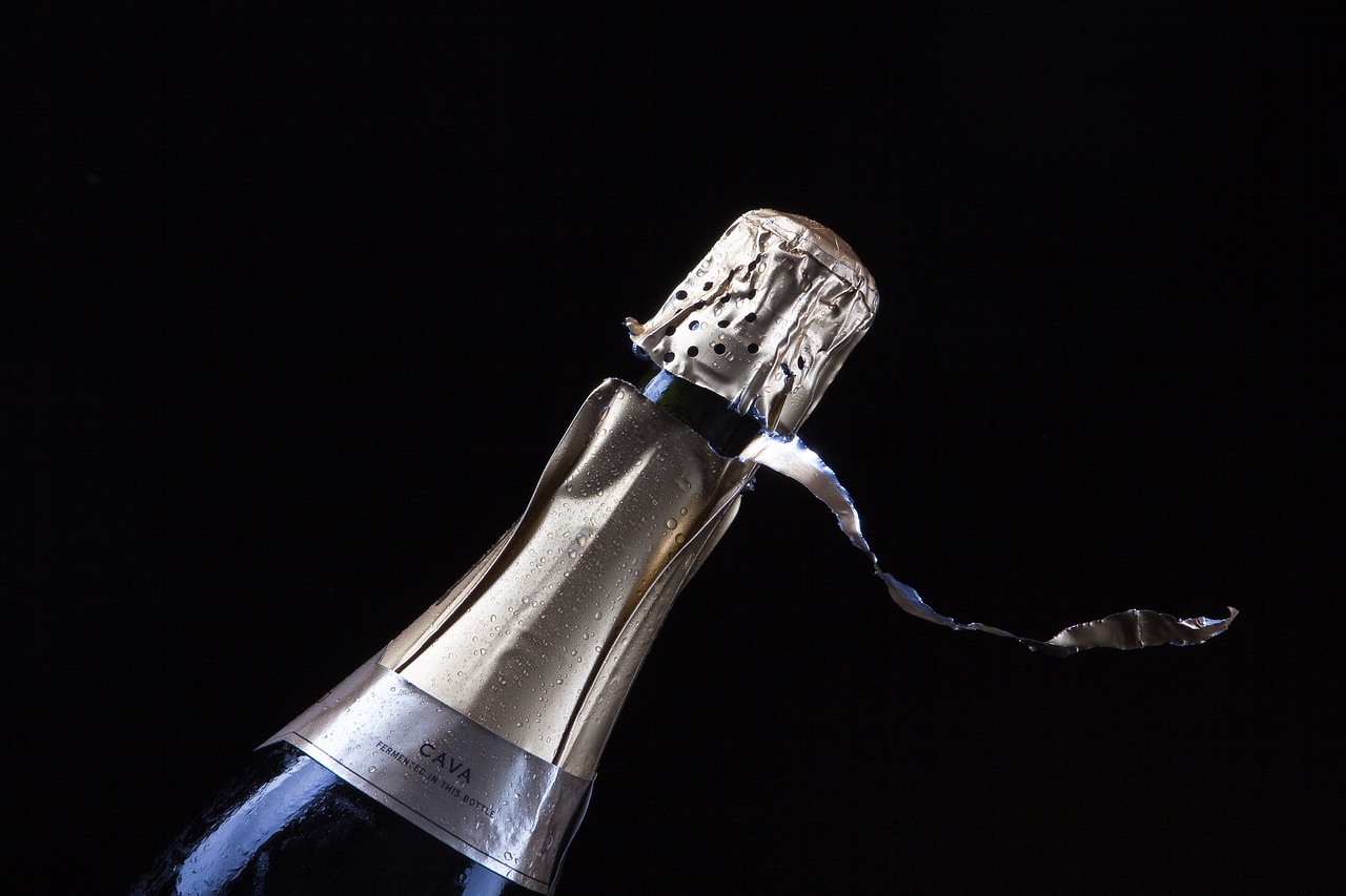 Cava Beber Celebración - Foto gratis en Pixabay