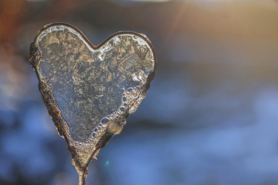 Heart Frost Winter - Free photo on Pixabay - Pixabay