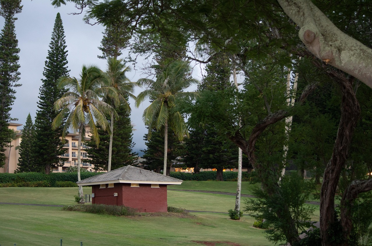 Luxusresort Baracke Gründe - Kostenloses Bild auf Pixabay - Pixabay