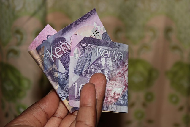 Kenya La Finance Devise Argent - Photo gratuite sur Pixabay - Pixabay