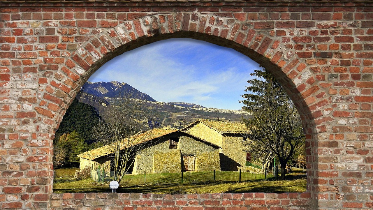 100,000+ Free Looking Through A Window & Window Images - Pixabay