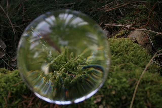 Ball Foto Glaskugel Wald - Kostenloses Foto auf Pixabay - Pixabay