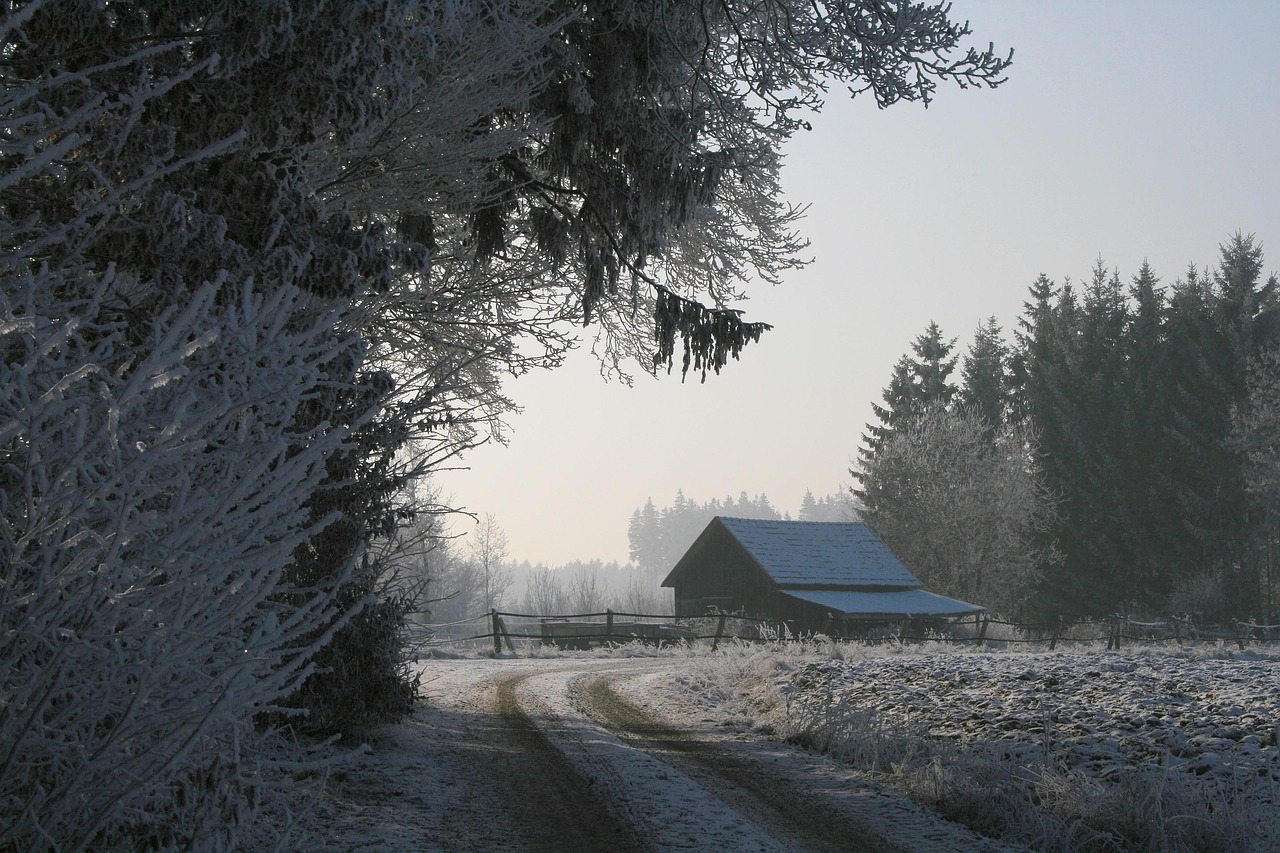 Winter Landscape Forest Path - Free photo on Pixabay - Pixabay