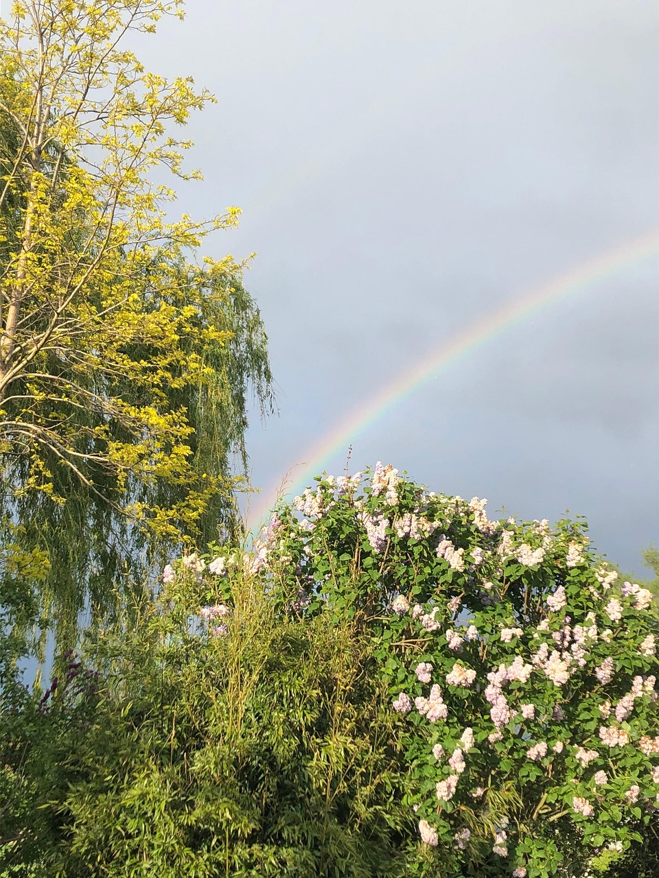 Arc-En-Ciel Le Printemps Pâturage - Photo gratuite sur Pixabay - Pixabay
