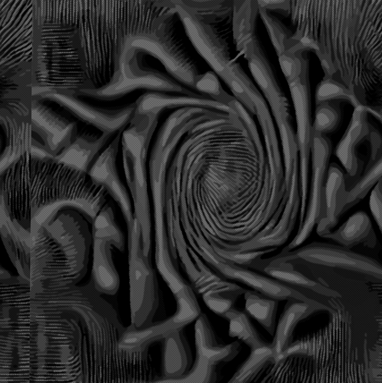 30 Free Whorl Spiral Images Pixabay