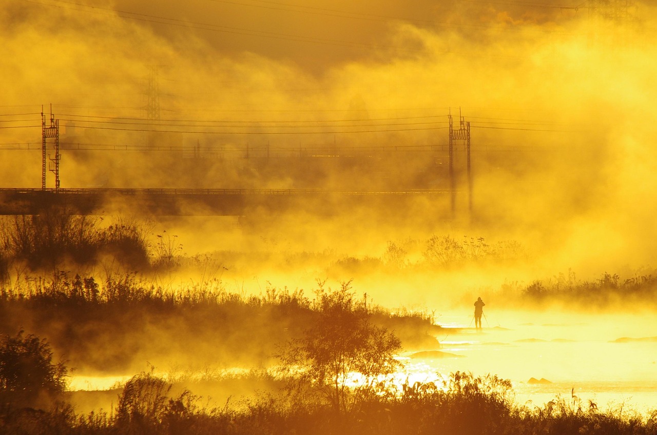 Morning Glow River Fog - Free photo on Pixabay - Pixabay
