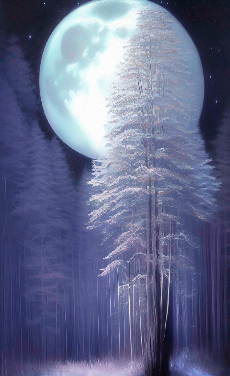 Download Winter, Moon, Forest. Royalty-Free Stock Illustration Image ...