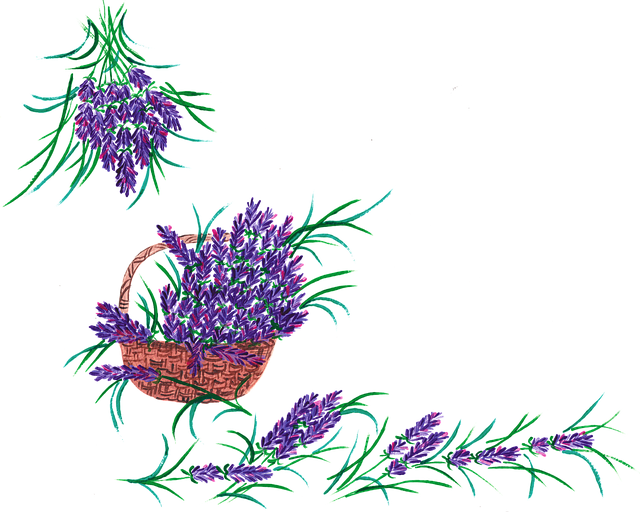 70,000+ Free Lavender Flower Clip Art & Lavender Images - Pixabay