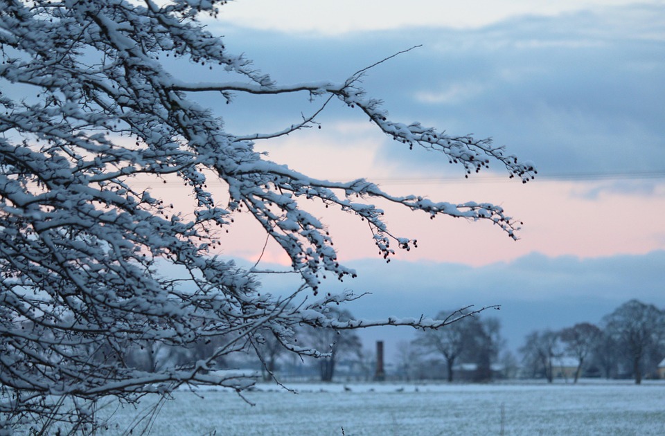 Winter Landscape Snow - Free photo on Pixabay