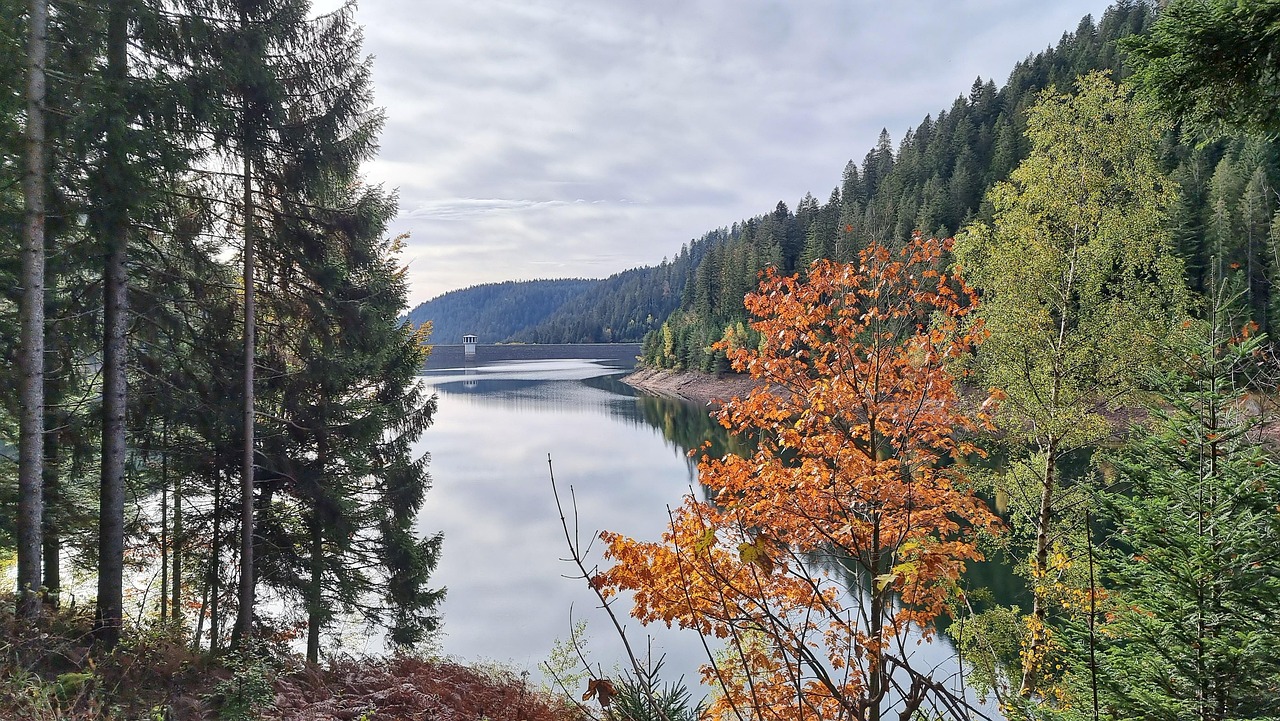 Paisaje Reservorio Bosque Negro - Foto gratis en Pixabay - Pixabay