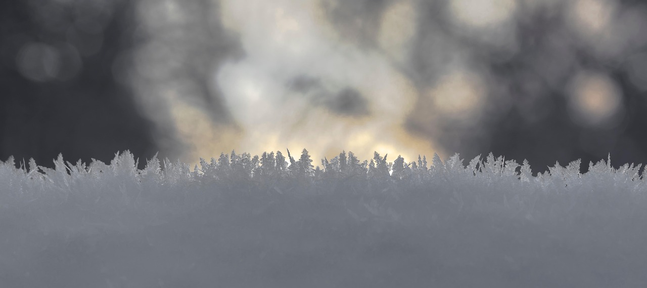 Snow Crystals - Free photo on Pixabay