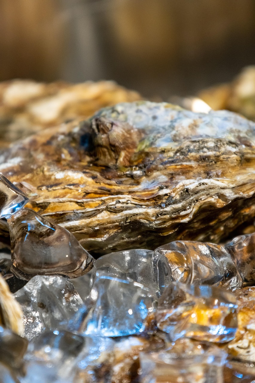Ostra Crua Frutos Do Mar Molusco - Foto gratuita no Pixabay