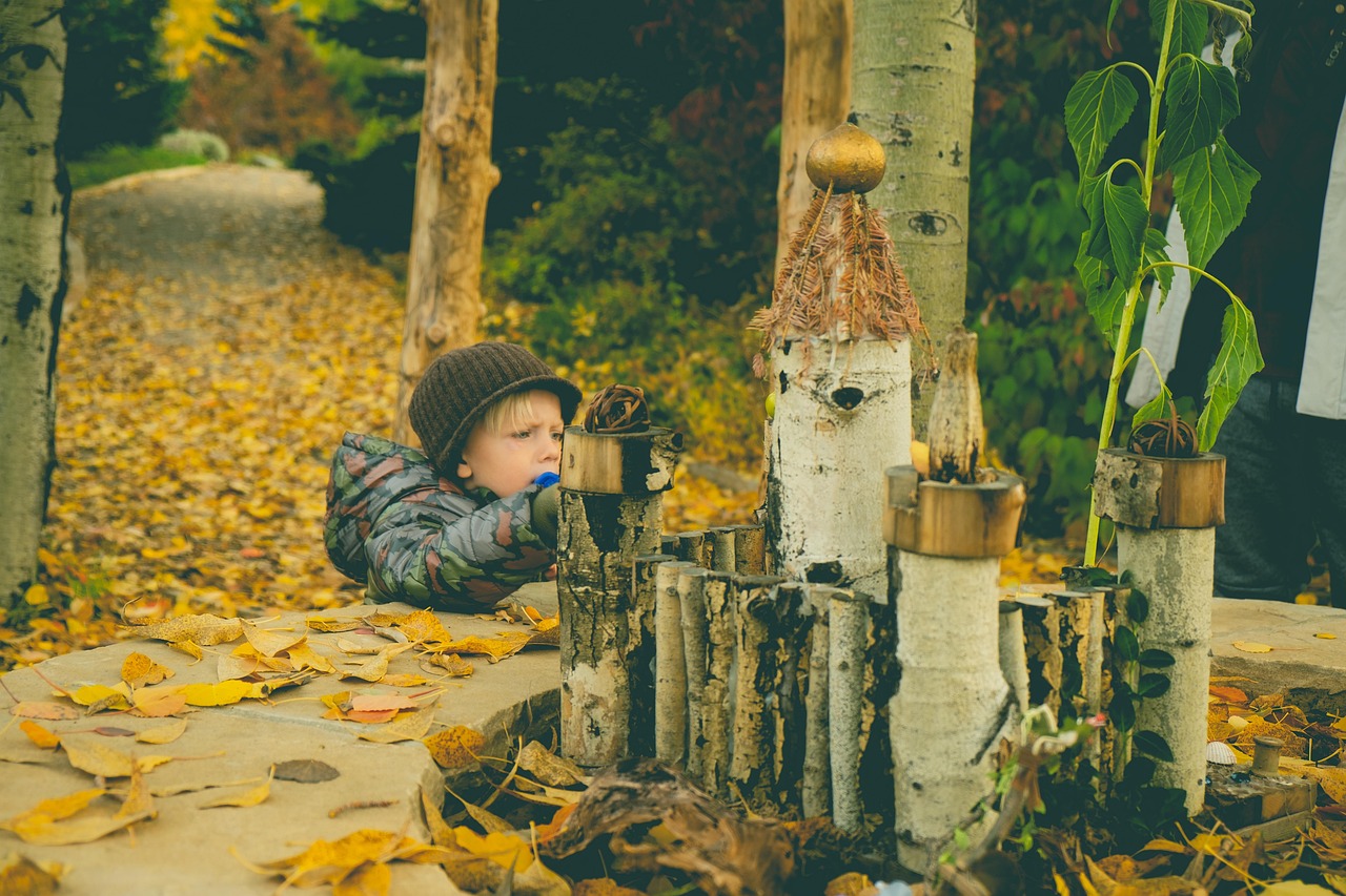 Boy Kid Castle - Free photo on Pixabay