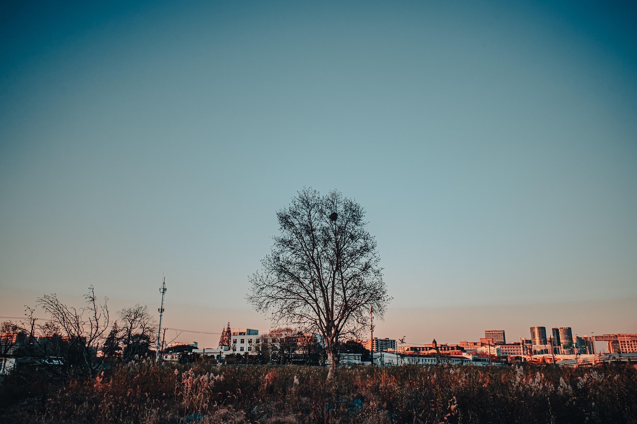 Alam Senja Kota Matahari - Foto gratis di Pixabay - Pixabay