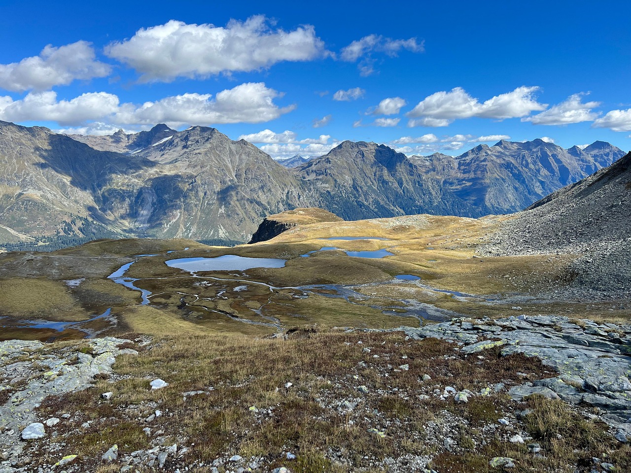 Cantun Of Hungarian Motton Alpine - Free photo on Pixabay - Pixabay