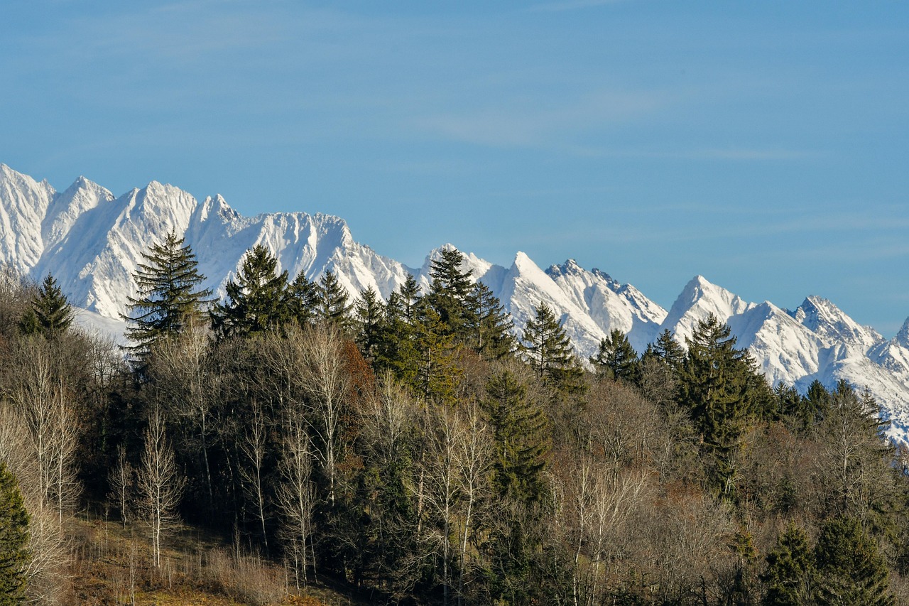 Alps Mountains Forest - Free photo on Pixabay - Pixabay