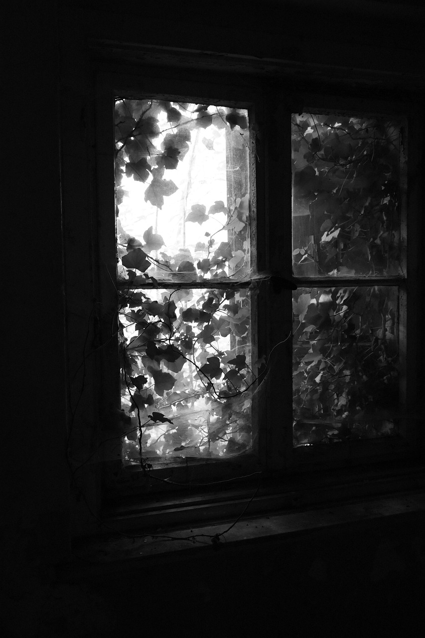 Window Leaves Tendrils Leaf - Free photo on Pixabay - Pixabay