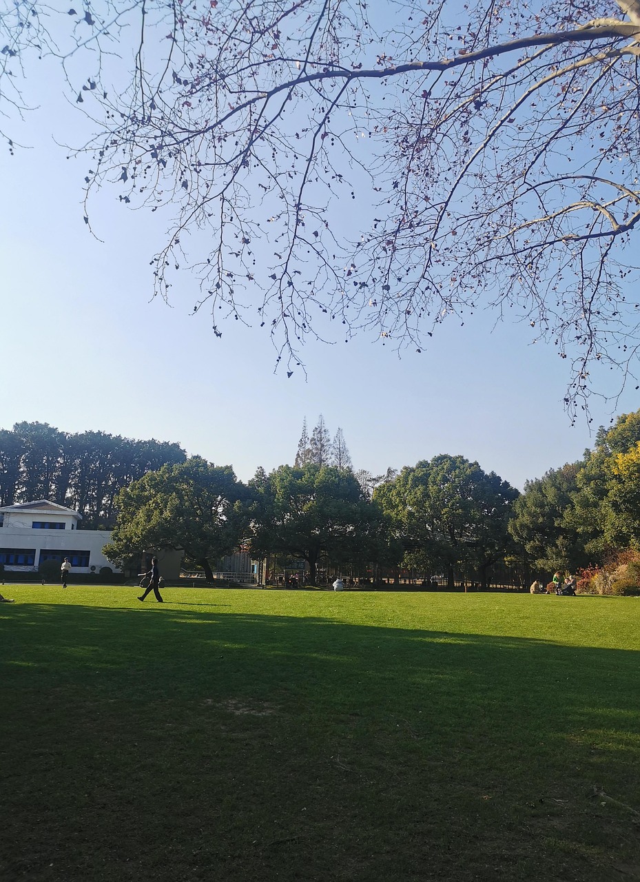 Parque Campos De Gramíneas Céu - Foto gratuita no Pixabay