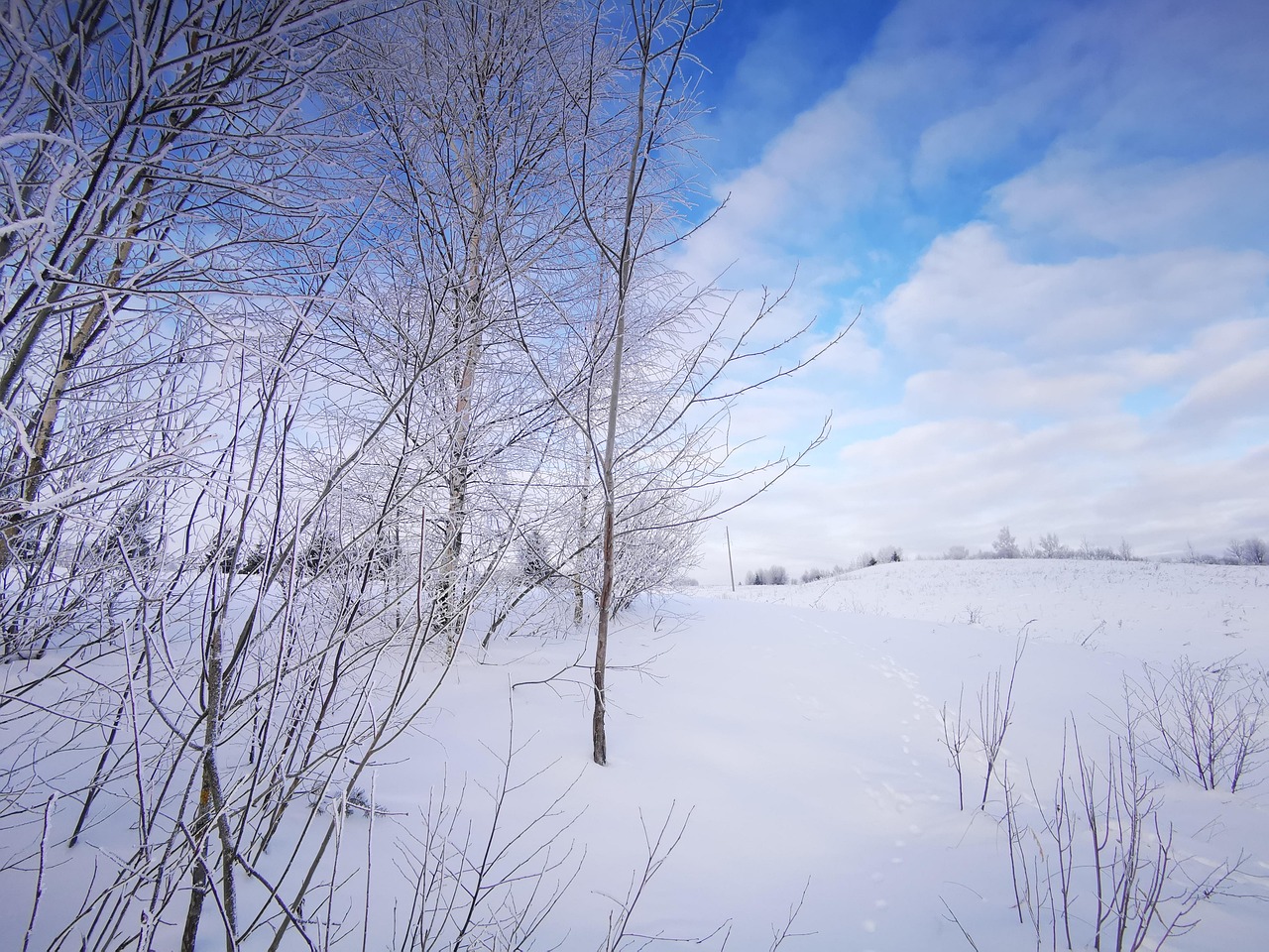Winter Schnee Landschaft - Kostenloses Foto auf Pixabay - Pixabay