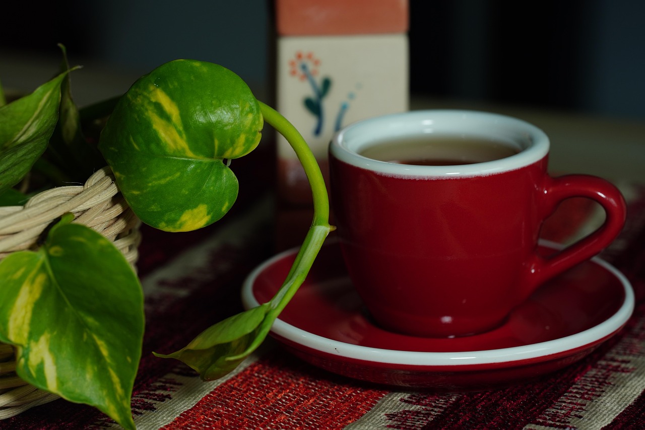 20,000+ Free Cup-Of-Tea & Tea Images - Pixabay