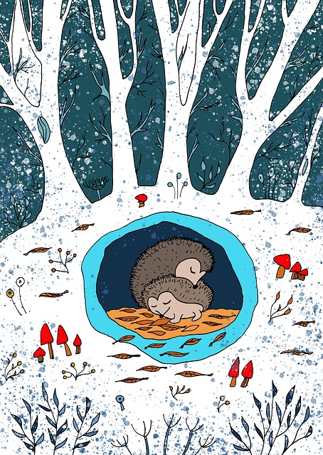 10 Kostenlose Cartoon Igel Und Igel Bilder Pixabay