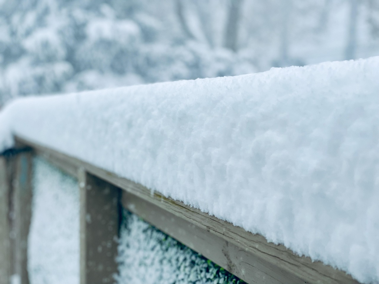 Snow Snowfall Winter - Free photo on Pixabay - Pixabay