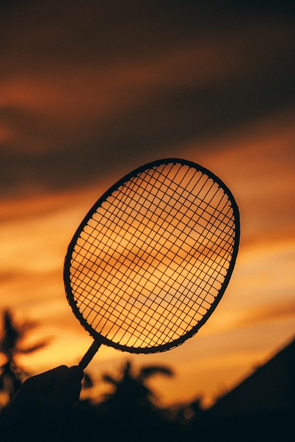100+ Free Badminton & Shuttlecock Images - Pixabay