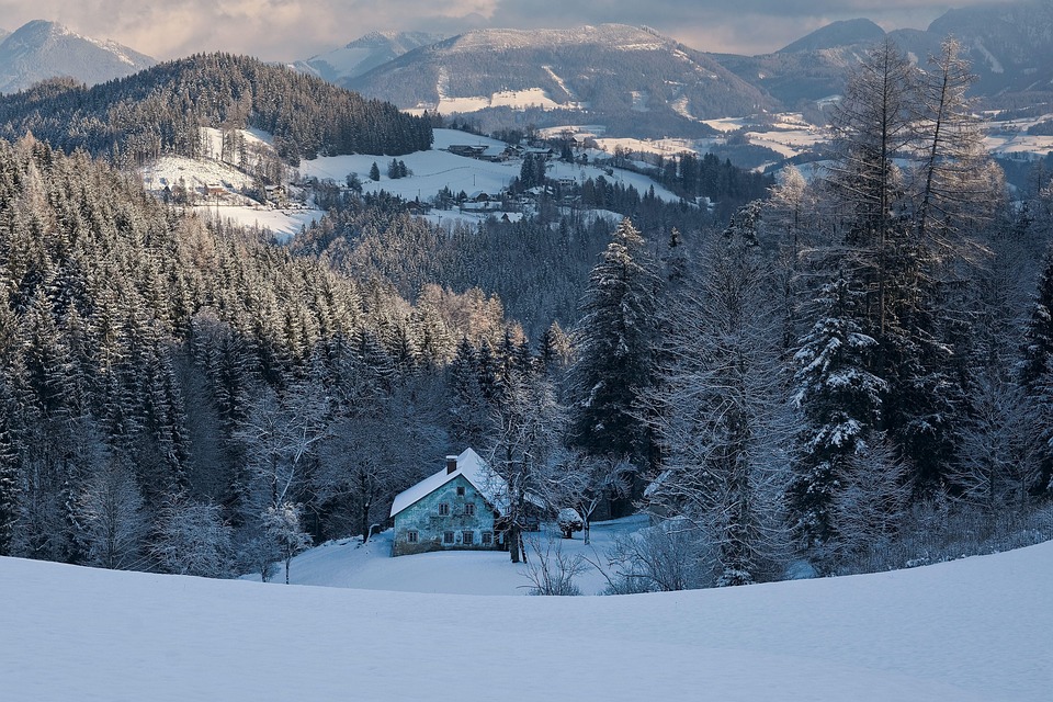 Nieve Bosque Invierno - Foto gratis en Pixabay
