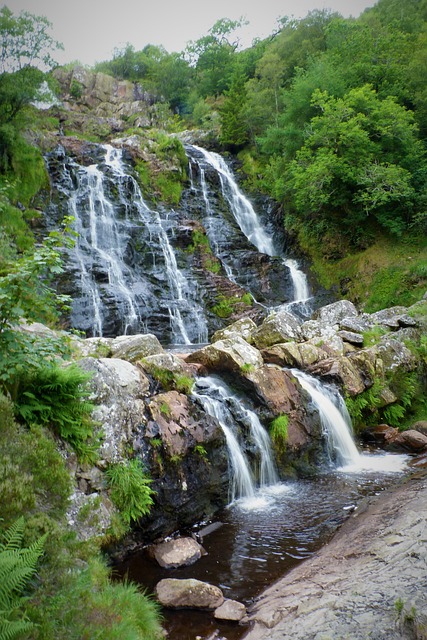 Nature Water Cascade - Free photo on Pixabay