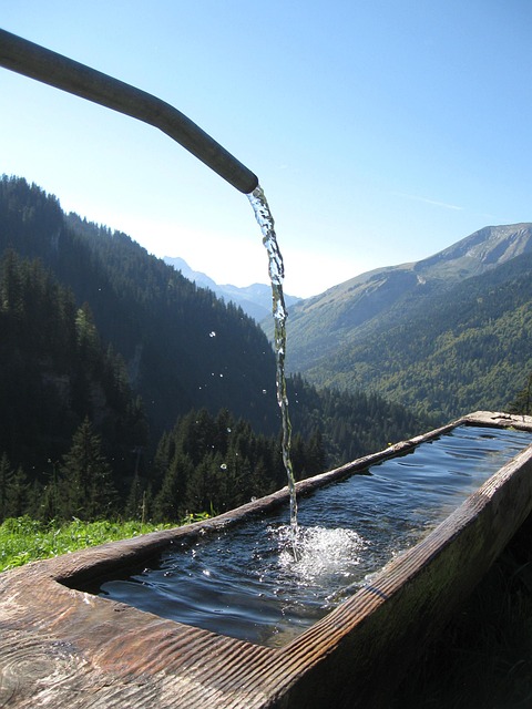 Mountain Water Source - Free photo on Pixabay - Pixabay