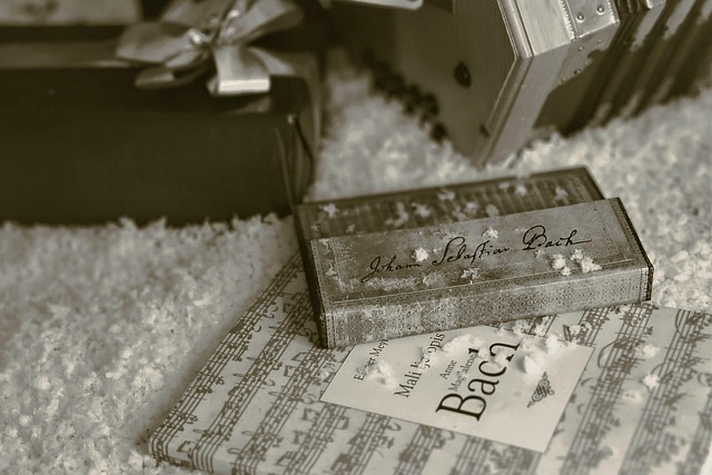 20,000+ Free Bach Classical Music & Music Images - Pixabay