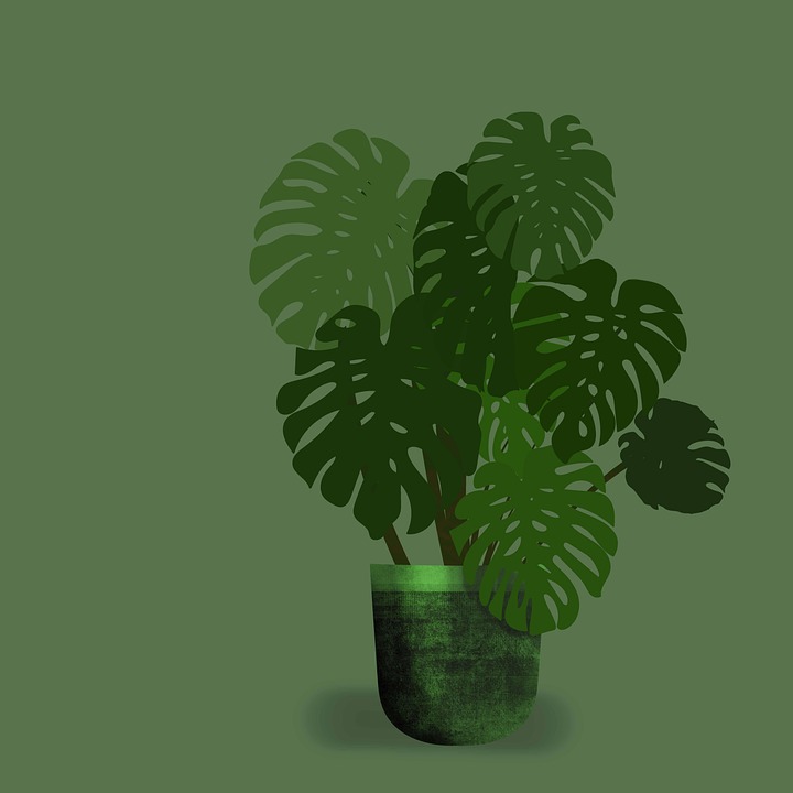 Download Monstera, Plant, Boho Art. Royalty-Free Stock Illustration ...