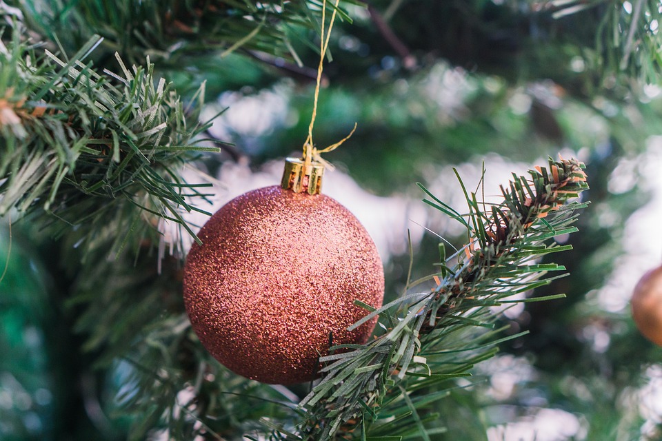 Ornament Fir Tree Christmas - Free photo on Pixabay