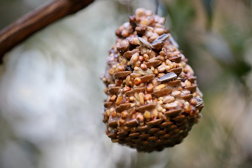 1+ Free Tit Cone & Fat Balls Images - Pixabay