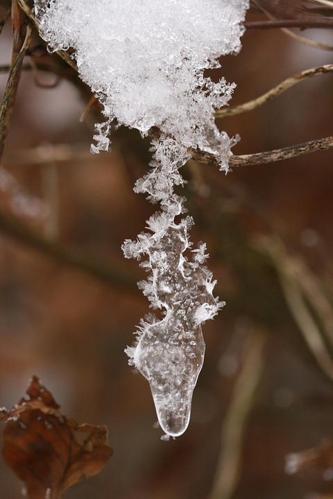 Icicle Branches Branch - Free photo on Pixabay
