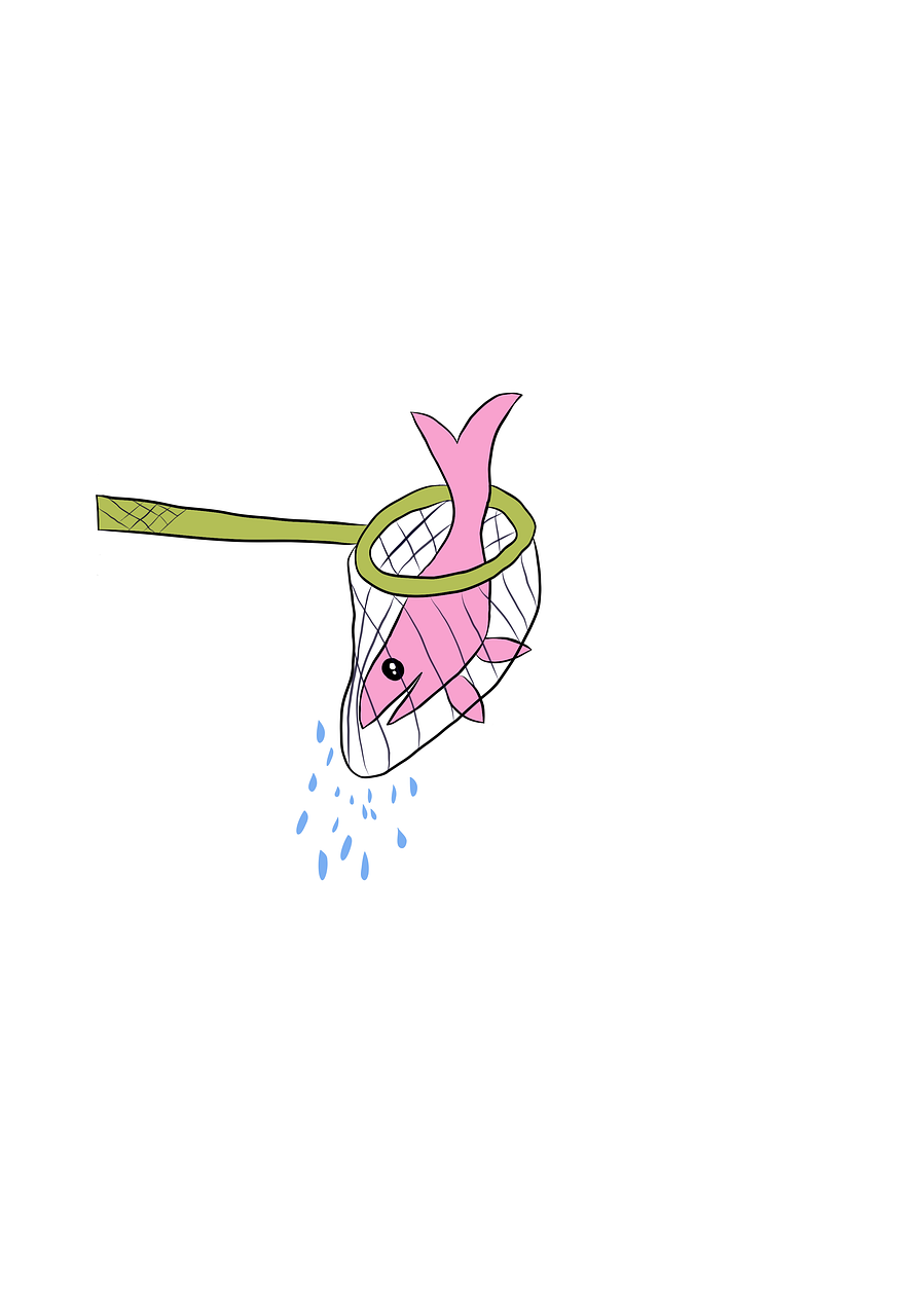 20,000+ Free Fishing Cartoon & Fish Images - Pixabay
