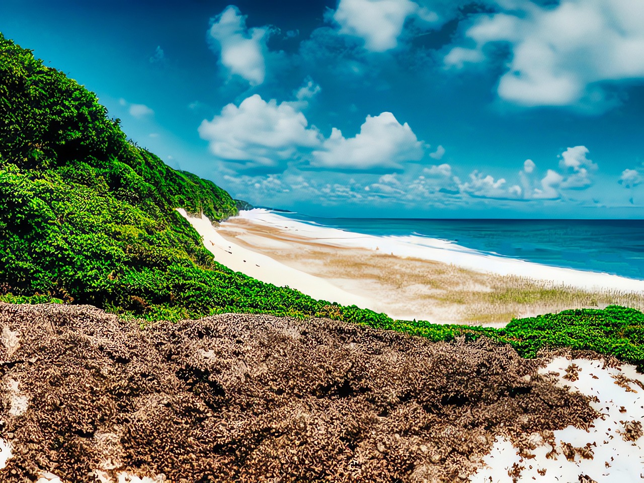 Sea Seaside Dunes - Free image on Pixabay