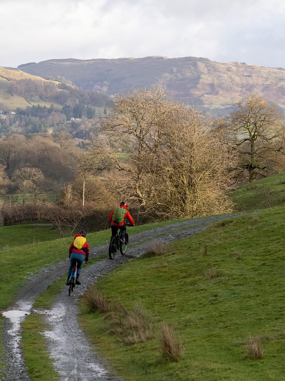 Cyclists Cycling Bikes - Free photo on Pixabay