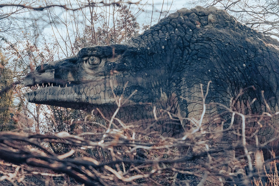 Dinosaurus Kopio Vanha - Ilmainen valokuva Pixabayssa - Pixabay