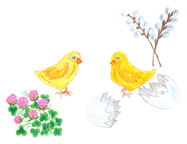 Explore 5,498+ Free Chicken And Egg Illustrations: Download Now - Pixabay