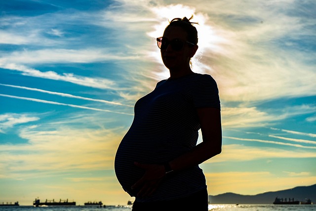 Enceinte Grossesse Maternité - Photo gratuite sur Pixabay - Pixabay