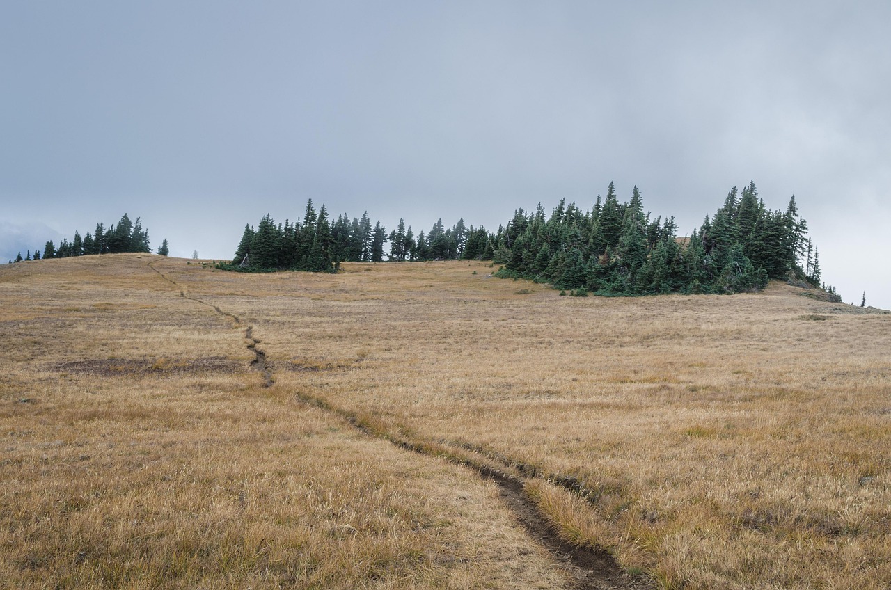 Platz Wanderung Hurrikan Grat - Kostenloses Foto auf Pixabay - Pixabay