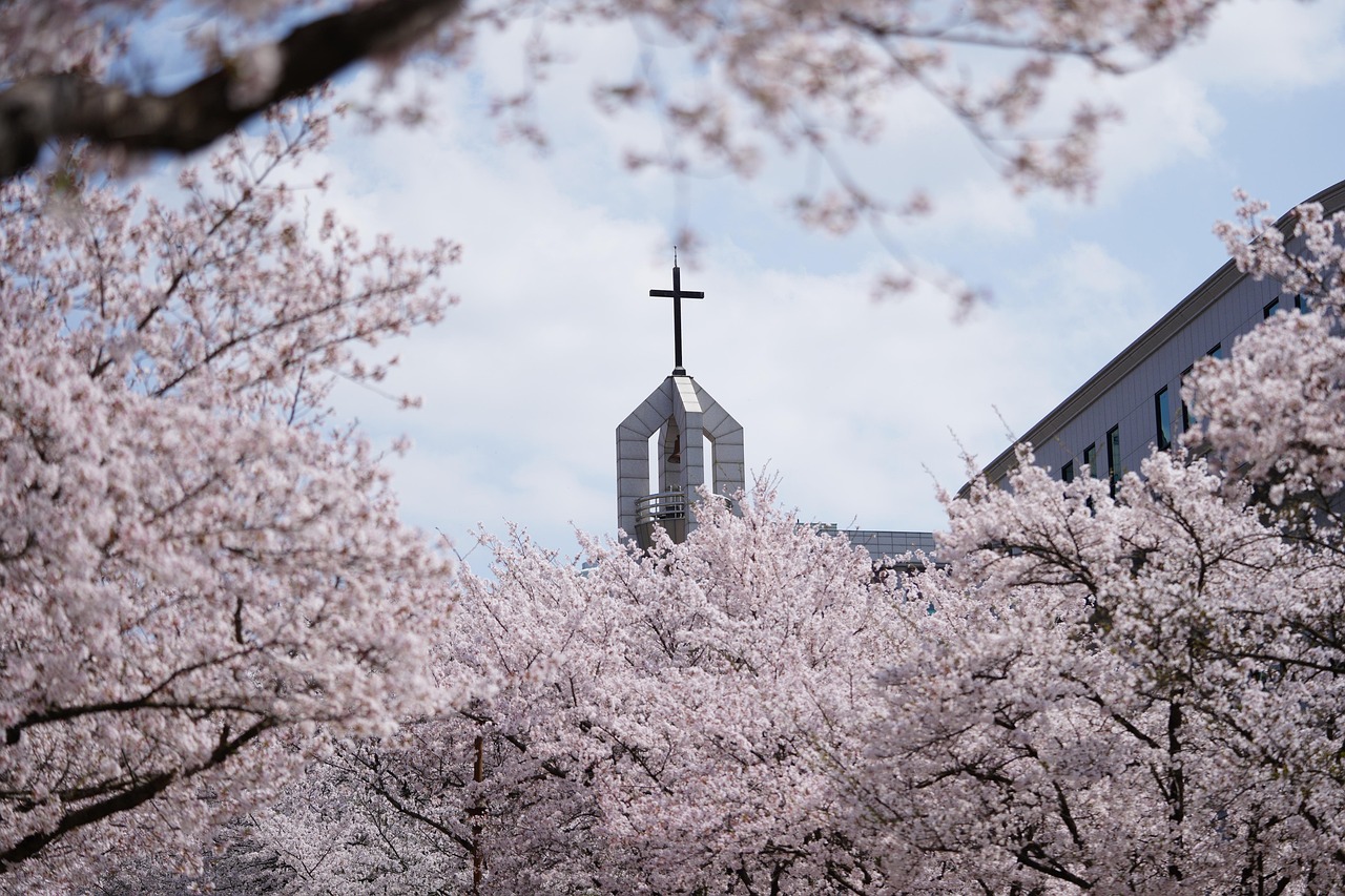 300,000+ Free Background For Church & Church Images - Pixabay