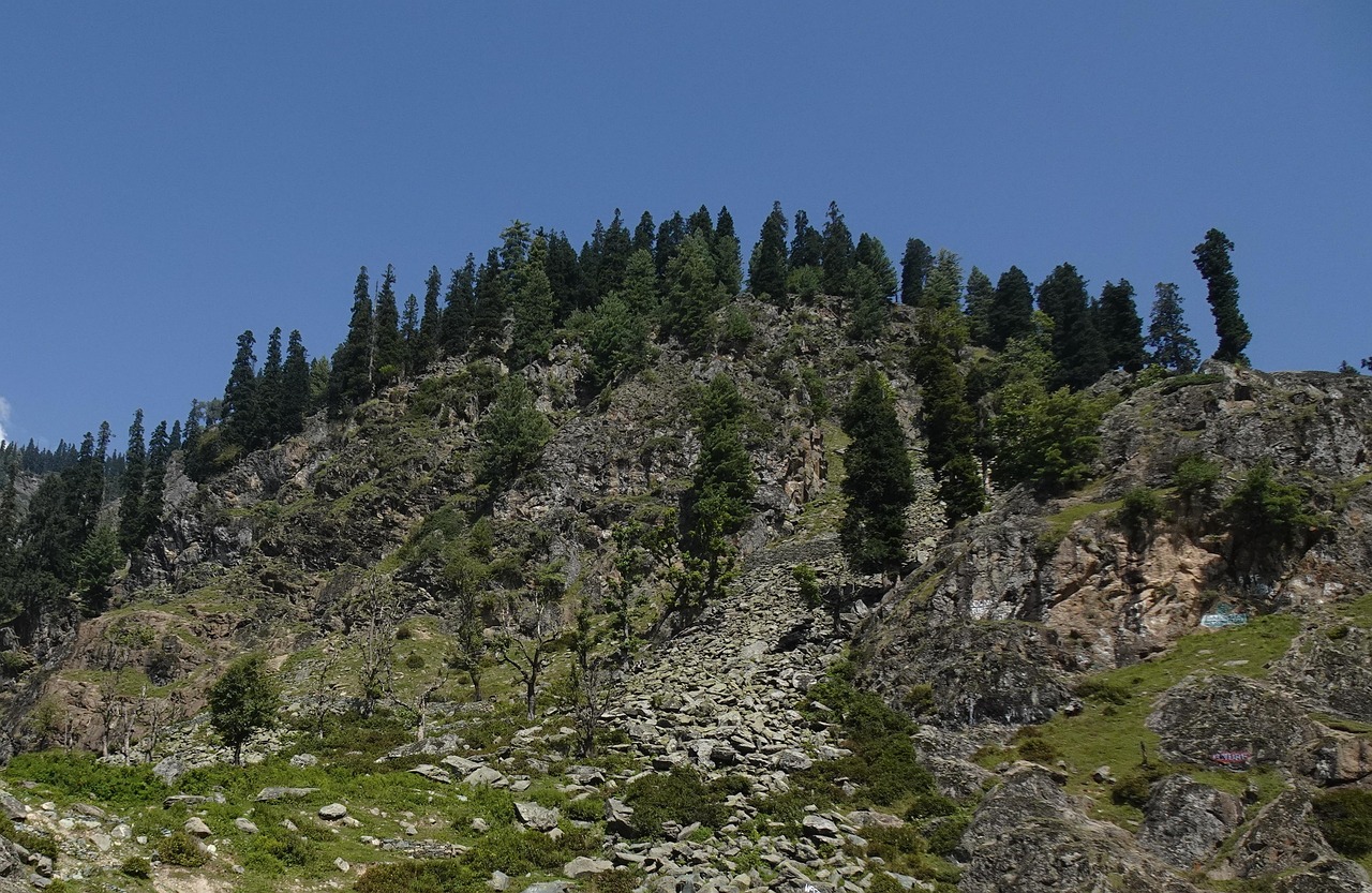 Valley Forest Himalayas - Free photo on Pixabay