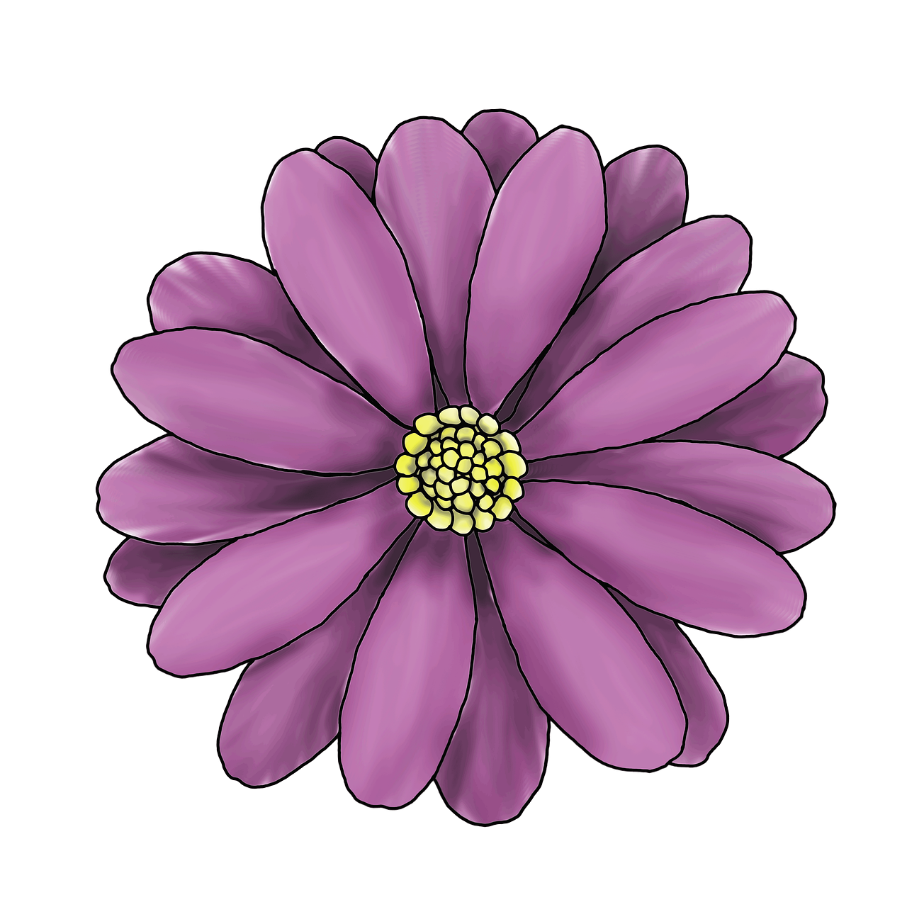 Flor Flores Moradas Decorar - Imagen gratis en Pixabay