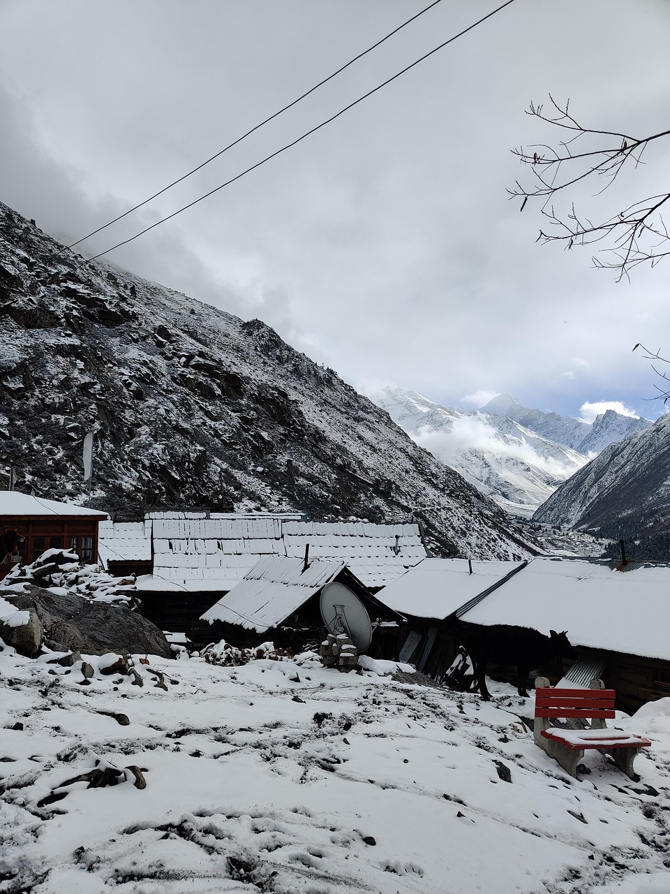 Himalayas Chitkul - Free photo on Pixabay - Pixabay