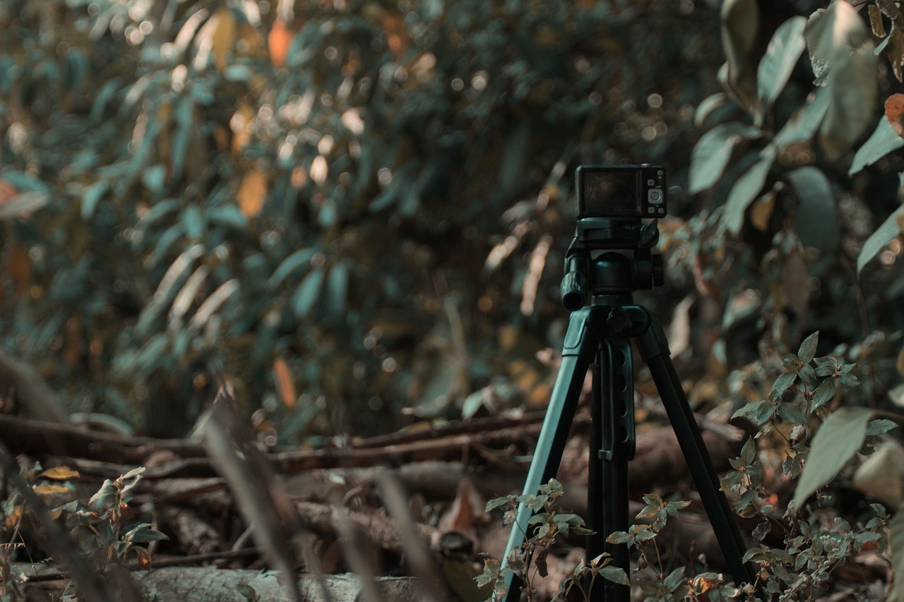 Camera Tripod Exilim - Free photo on Pixabay - Pixabay
